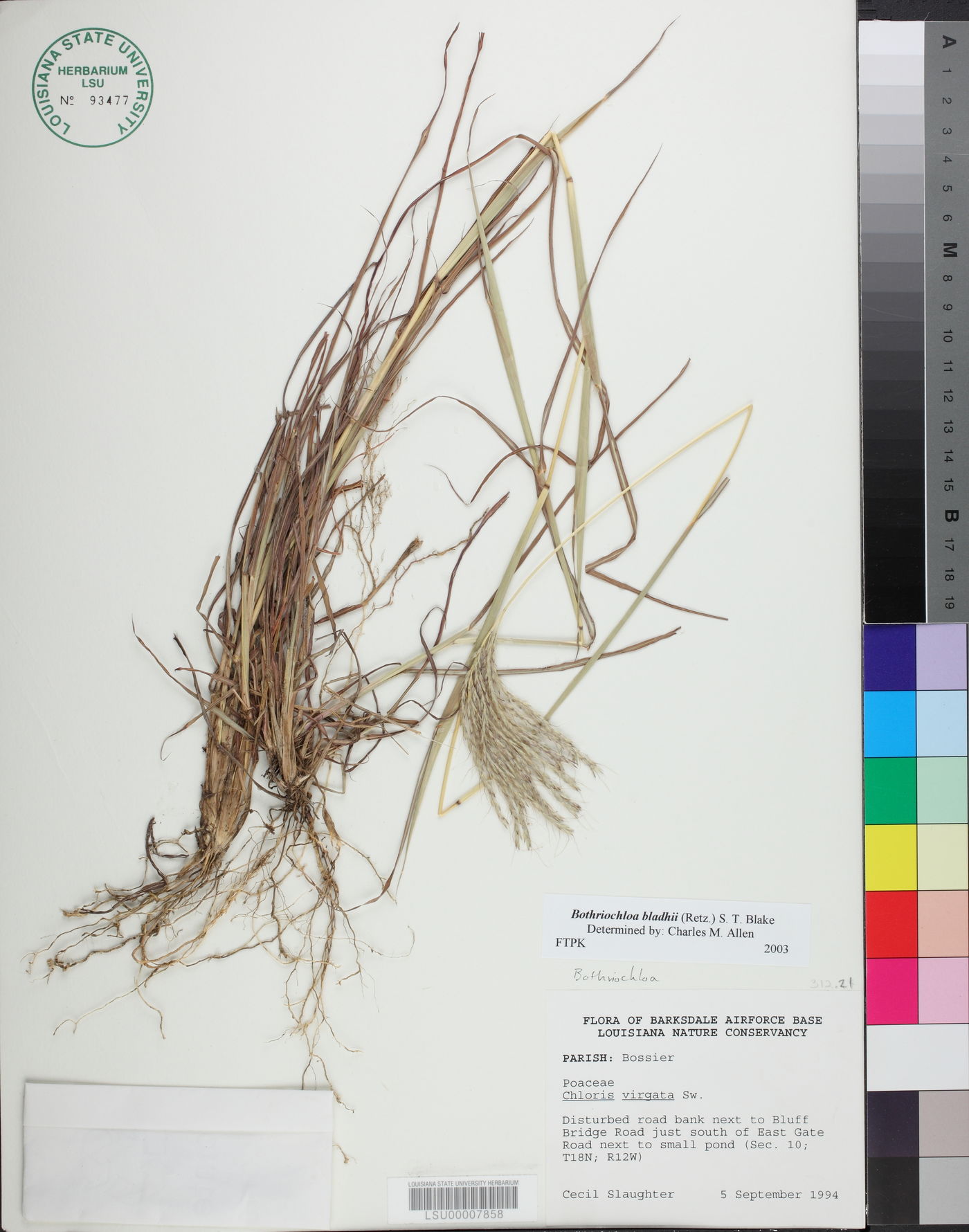 SEINet Portal Network Detailed Collection Record Information