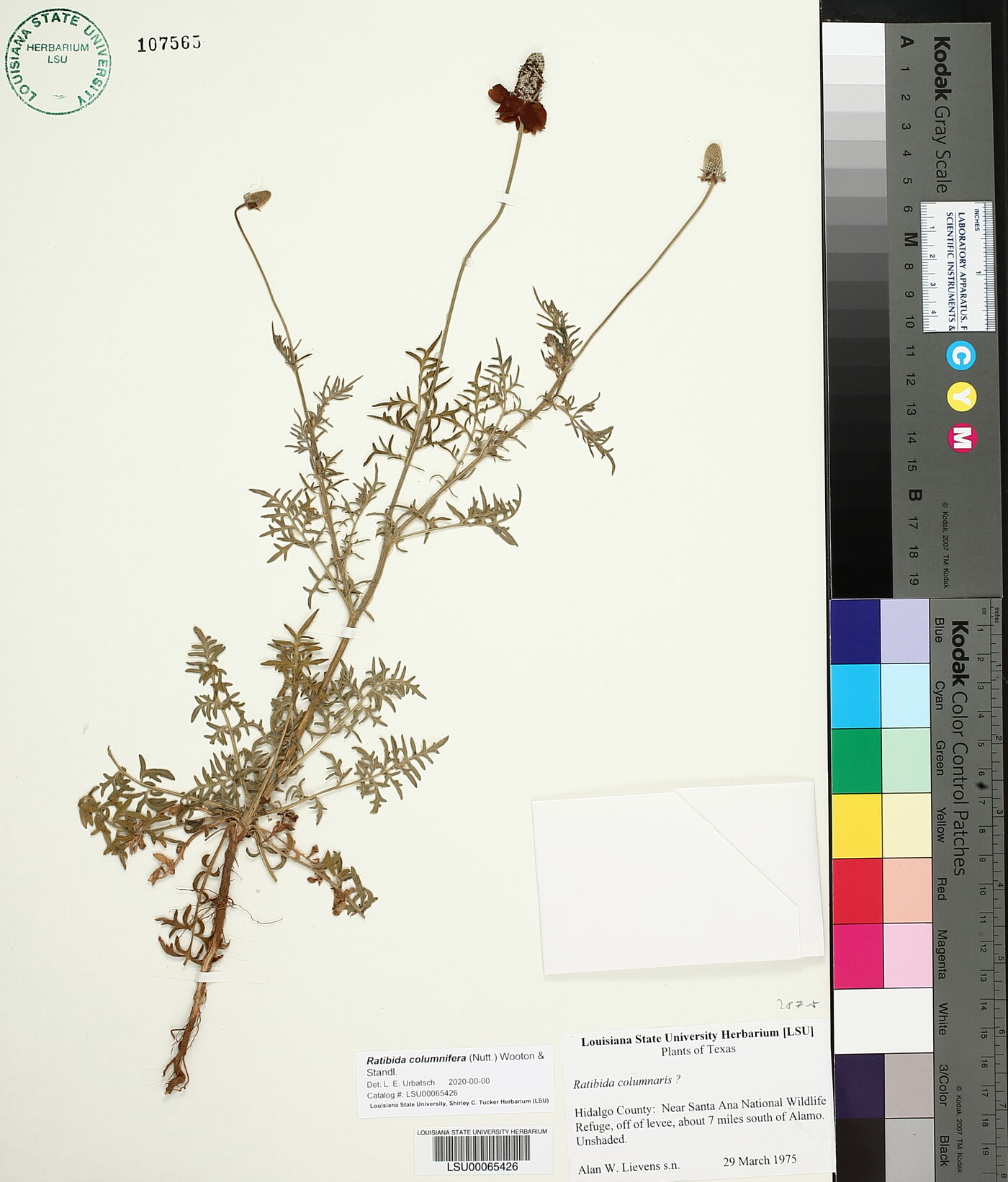 SEINet Portal Network Detailed Collection Record Information